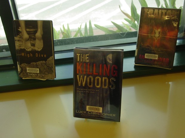 book display – The Loudmouth Librarian