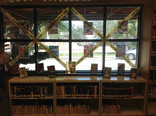 book display – The Loudmouth Librarian